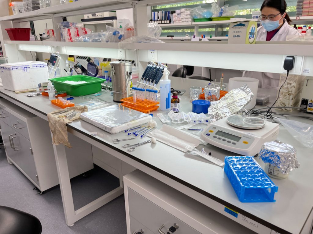DAI Lab@BIO Department - Connect @ XJTLU