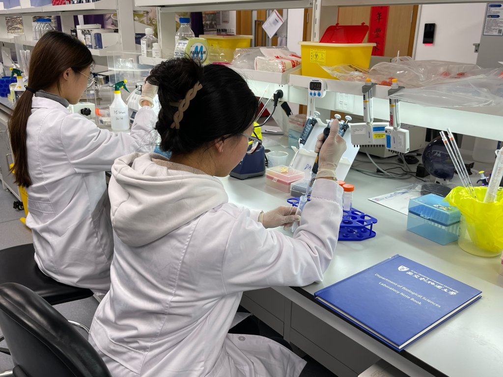 DAI Lab@BIO Department - Connect @ XJTLU