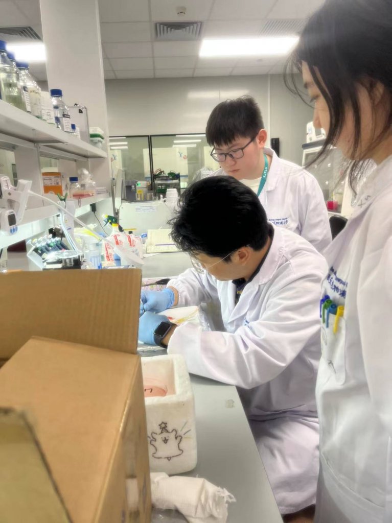 DAI Lab@BIO Department - Connect @ XJTLU